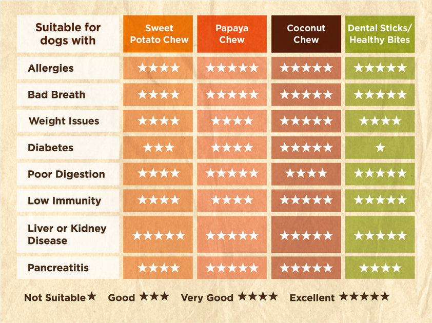 Canine Kidney Disease | Soopa Pets