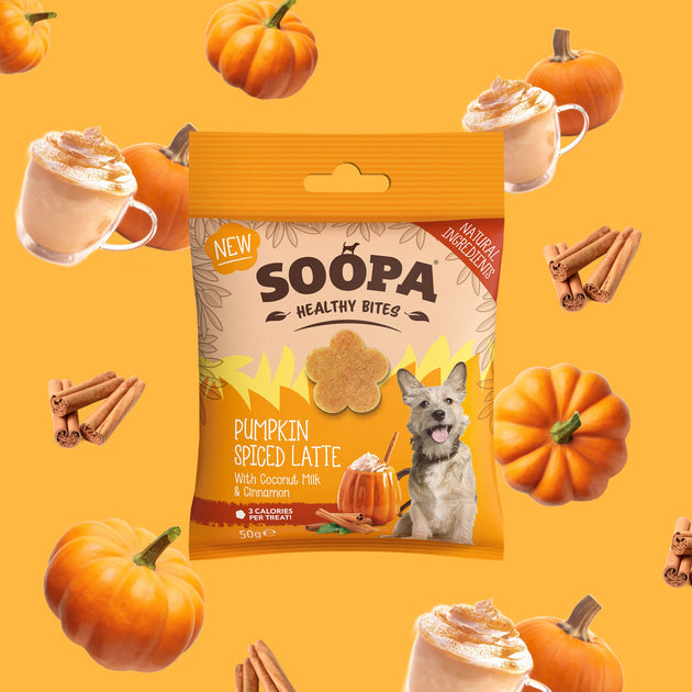 Pumpkin Spiced Latte Healthy Bites | Soopa Pets